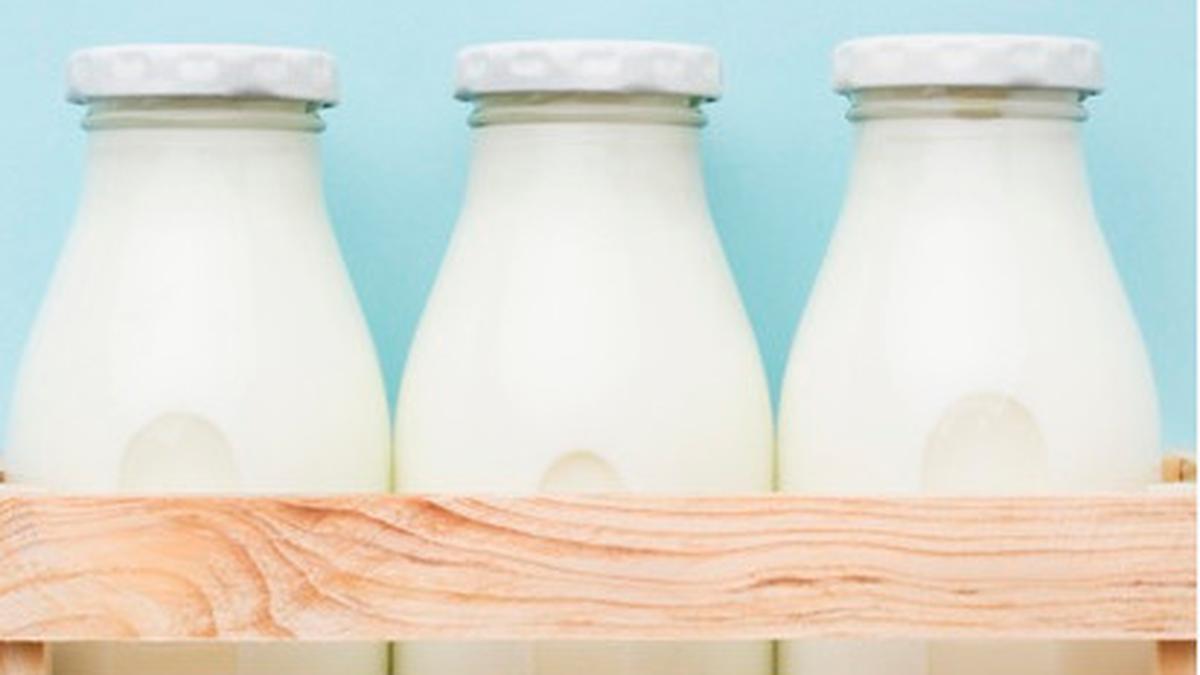 14 Jenis Susu yang Banyak Ditemukan di Pasaran, Kenali Kandungan Nutrisinya