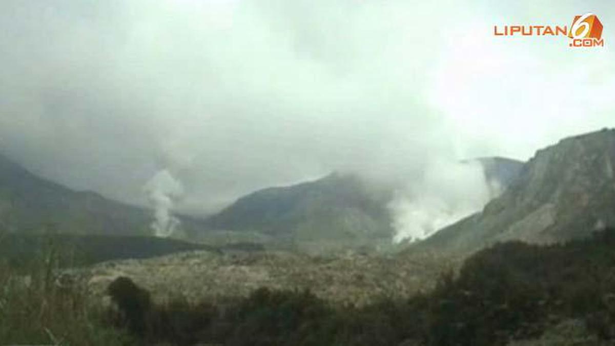 Sepekan Membara, Hutan di Gunung Papandayan Masih Terbakar - News ...