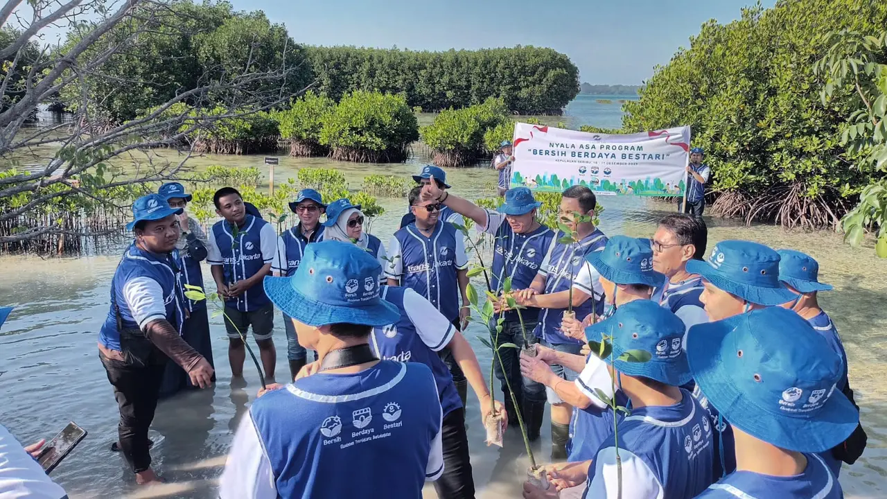 Dukung Net Zero Emission, Transjakarta Tanam Ribuan Bibit Mangrove di Pulau Harapan, Kepulauan ...