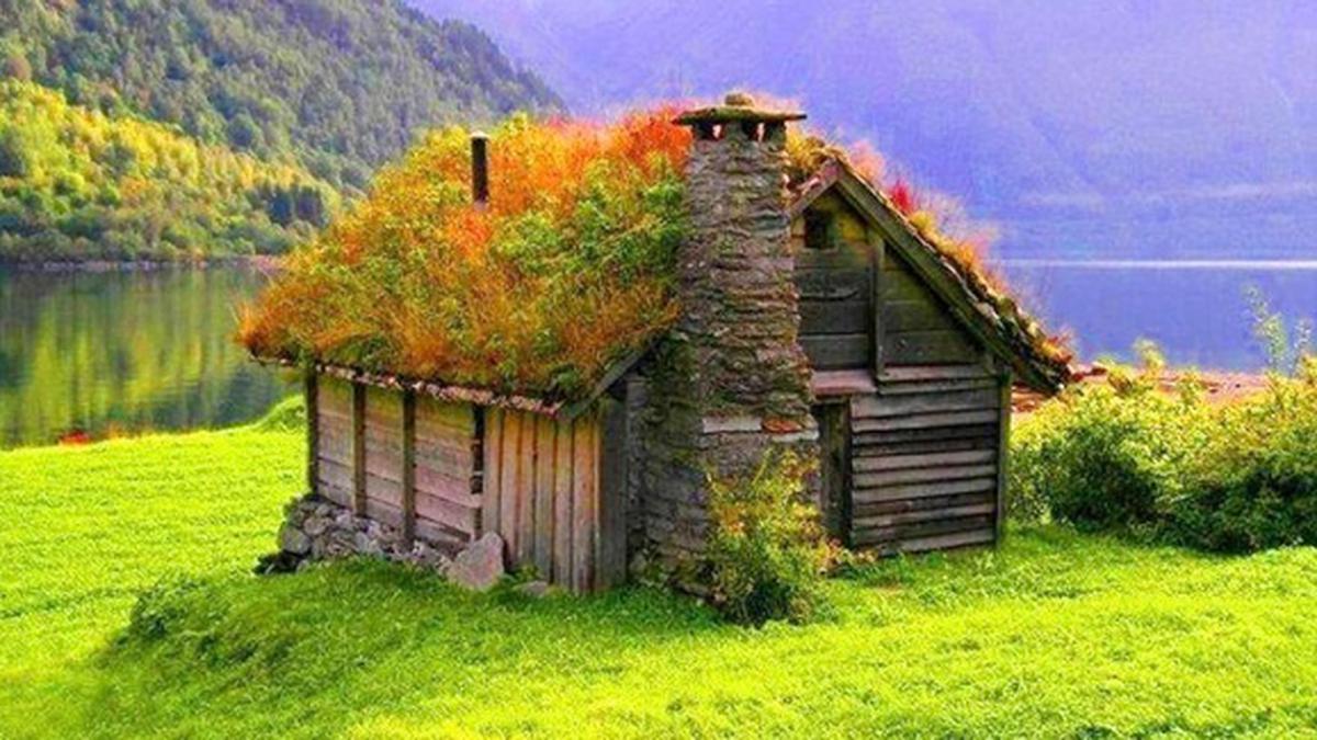 Rumah Unik Dengan Atap Rumput: Keren Abis Ladies - Photo Fimela.com