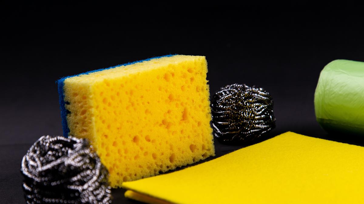 Spons Bersih dan Harum, 5 Tips untuk Menghilangkan Bau Tak Sedap pada ...