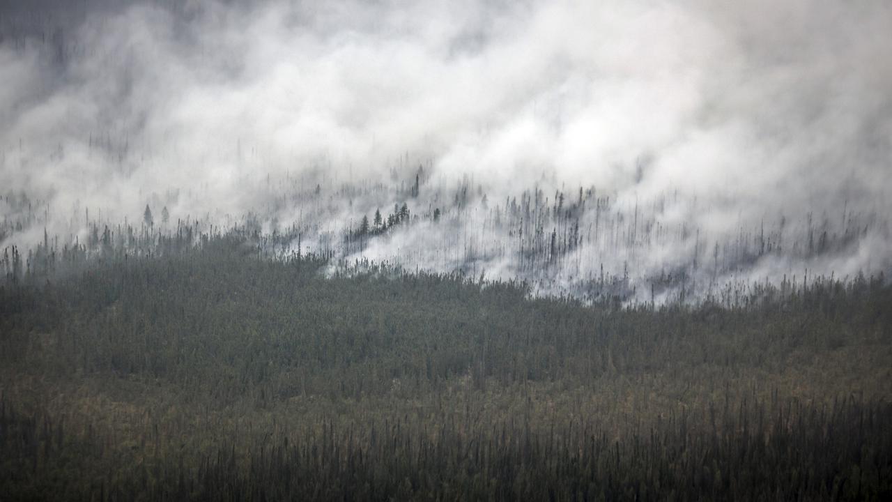 Kebakaran Hutan Kanada: British Columbia Tetapkan Status Darurat, 15 ...