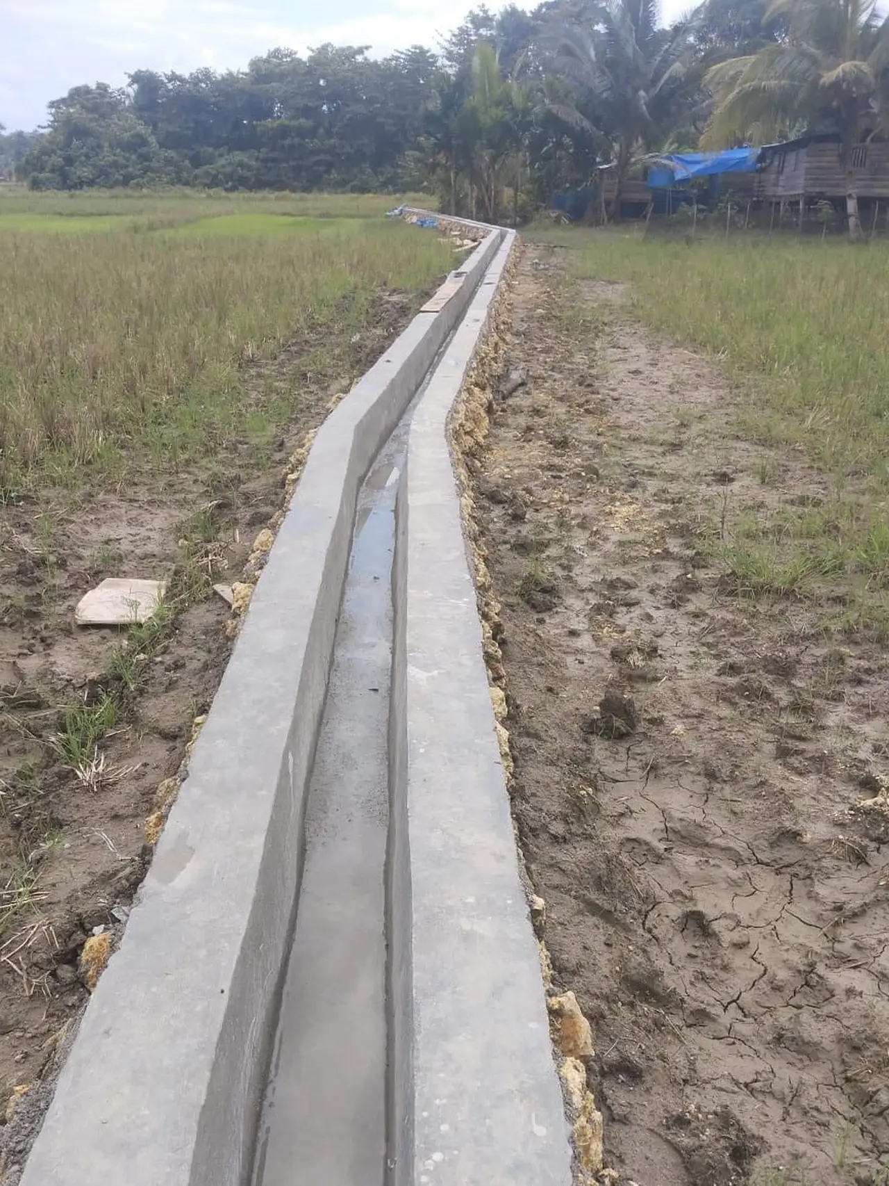 Kementan Jaga Pasokan Air Lahan Pertanian Rancaekek Lewat RJIT - Bisnis ...