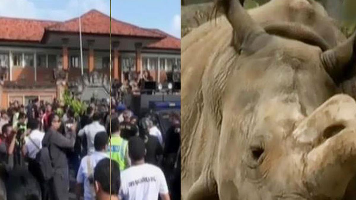 Sidang Praperadilan Margriet hingga Badak Langka di Ceko Mati