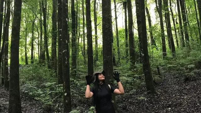 6 Fakta Menarik Gunung Pohen di Bali yang Merupakan Cagar Alam Batukahu ...