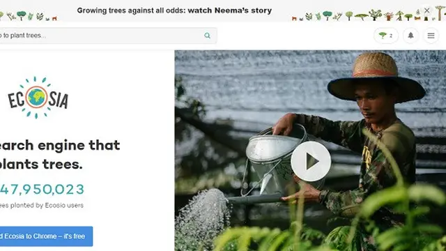 Mengenal Ecosia, Search Engine yang Sumbang Pendapatannya untuk Menanam Pohon - Tekno Liputan6.com