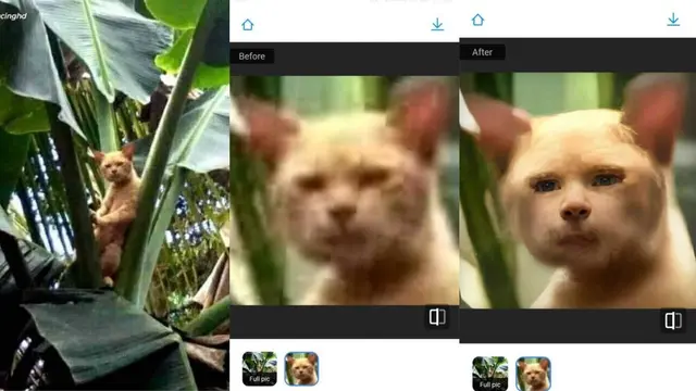 Bukannya Bagus, 6 Hasil Foto Diedit Pakai Aplikasi Remini Ini Malah ...