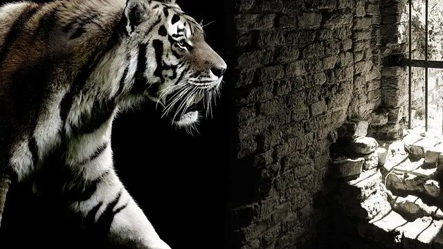 Arti Eksploitasi beserta Contohnya - Ragam Bola.com