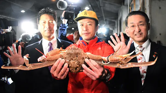 Kenapa Harga Kepiting Raja Alaska Sangat Mahal? Ternyata Ini 4 ...