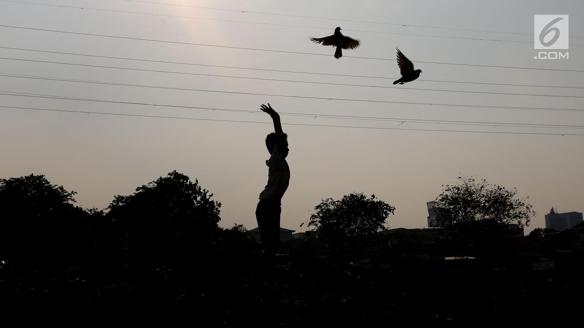 PHOTO: Menikmati Liburan Bersama Burung Merpati - Foto Liputan6.com