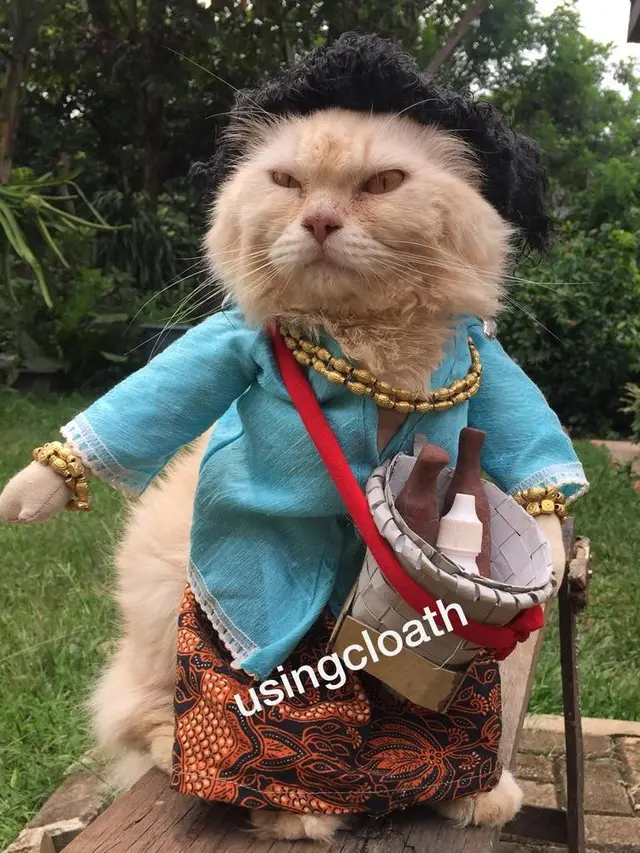 6 Potret Kucing Pakai Kostum Berbagai Profesi Ini Bikin Ketawa Geli ...