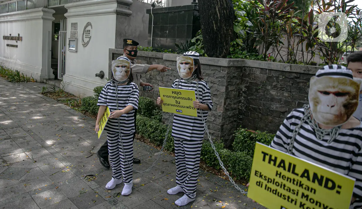 FOTO: Aksi Mengecam Eksploitasi Hewan di Kedubes Thailand - Foto ...