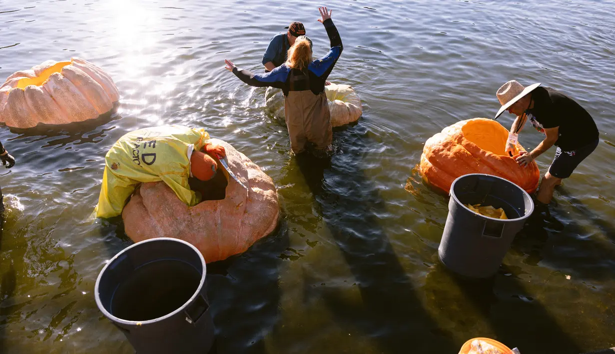 Kocak, Balapan dengan Perahu Labu Raksasa di Oregon - Foto Liputan6.com