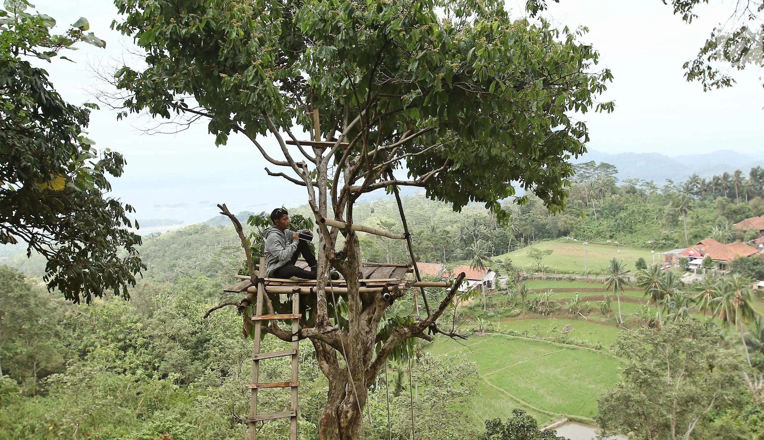 PHOTO: Menikmati Wisata Alam Gunung Parang - Foto Liputan6.com
