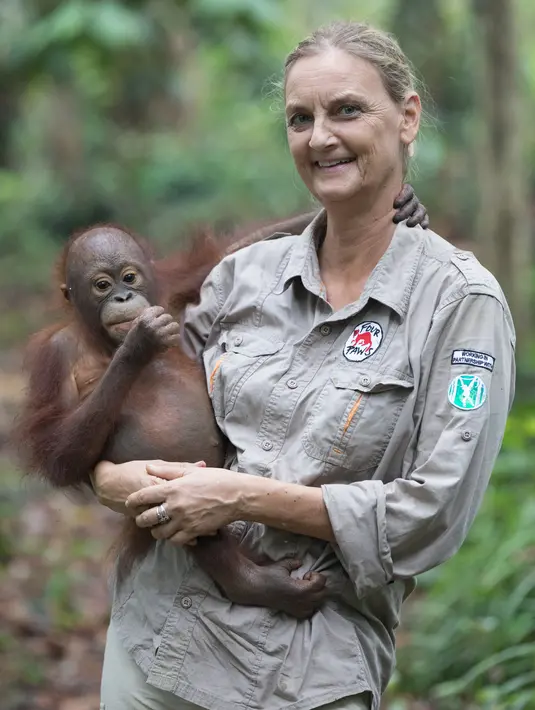 FOTO: Menengok Sekolah untuk Orangutan di Kalimantan Timur - Foto ...