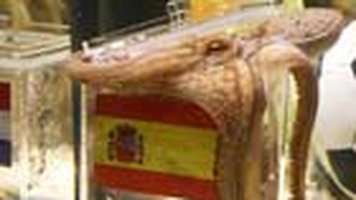 Akurasi Paul Seratus Persen - Video Liputan6.com