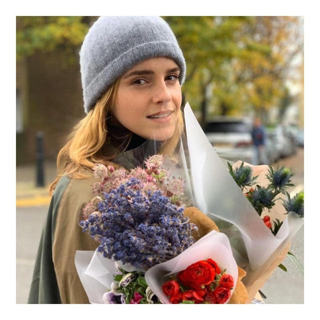 Fakta Menarik Emma Watson yang Akui Pernah Suka dengan Tom Felton ...