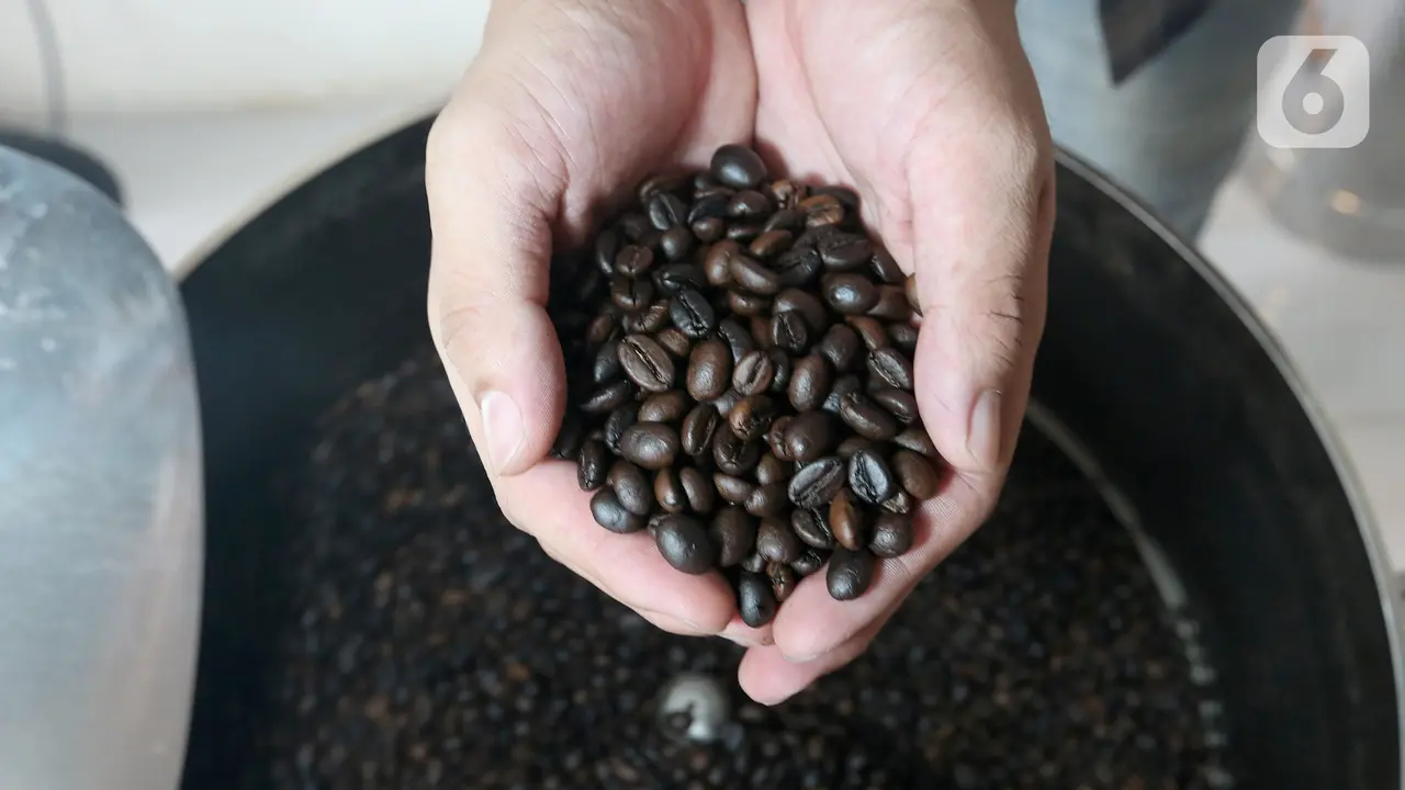 Robusta Hingga Arabika, Ini 3 Jenis Kopi khas Jember
