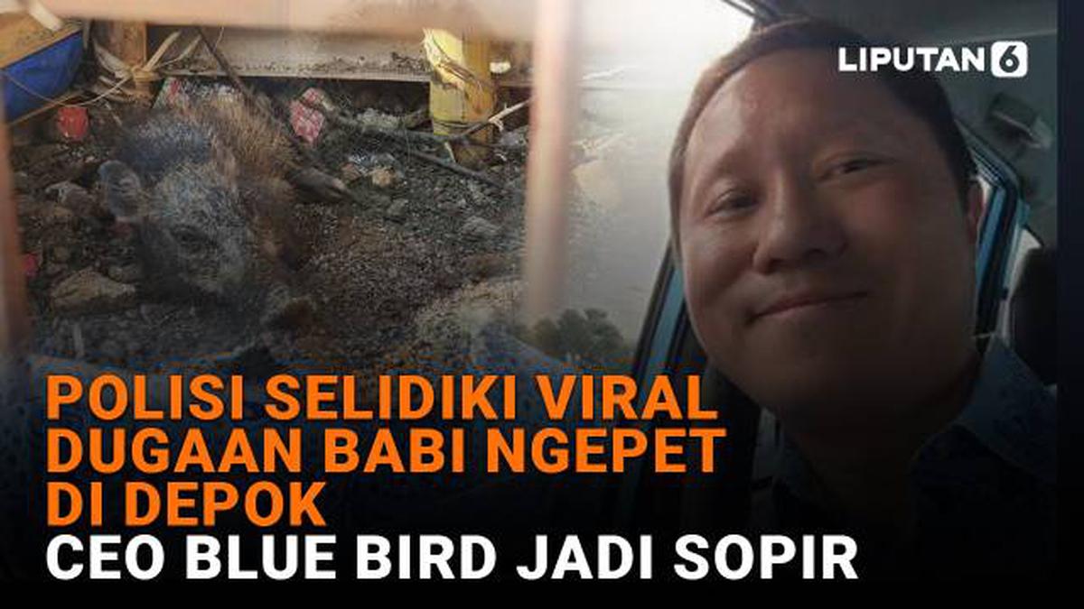Video CEO Bluebird Narik Taksi Hari Ini - Video Terbaru Terkini ...