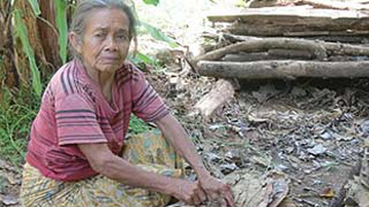 Nenek Umur 70 Tahun Terkucil di Tengah Hutan