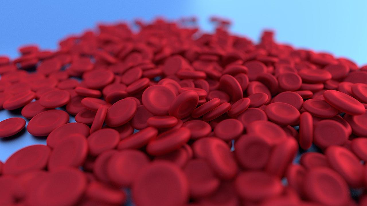 Hemoglobin adalah Protein dalam Sel Darah Merah, Ketahui Fungsinya