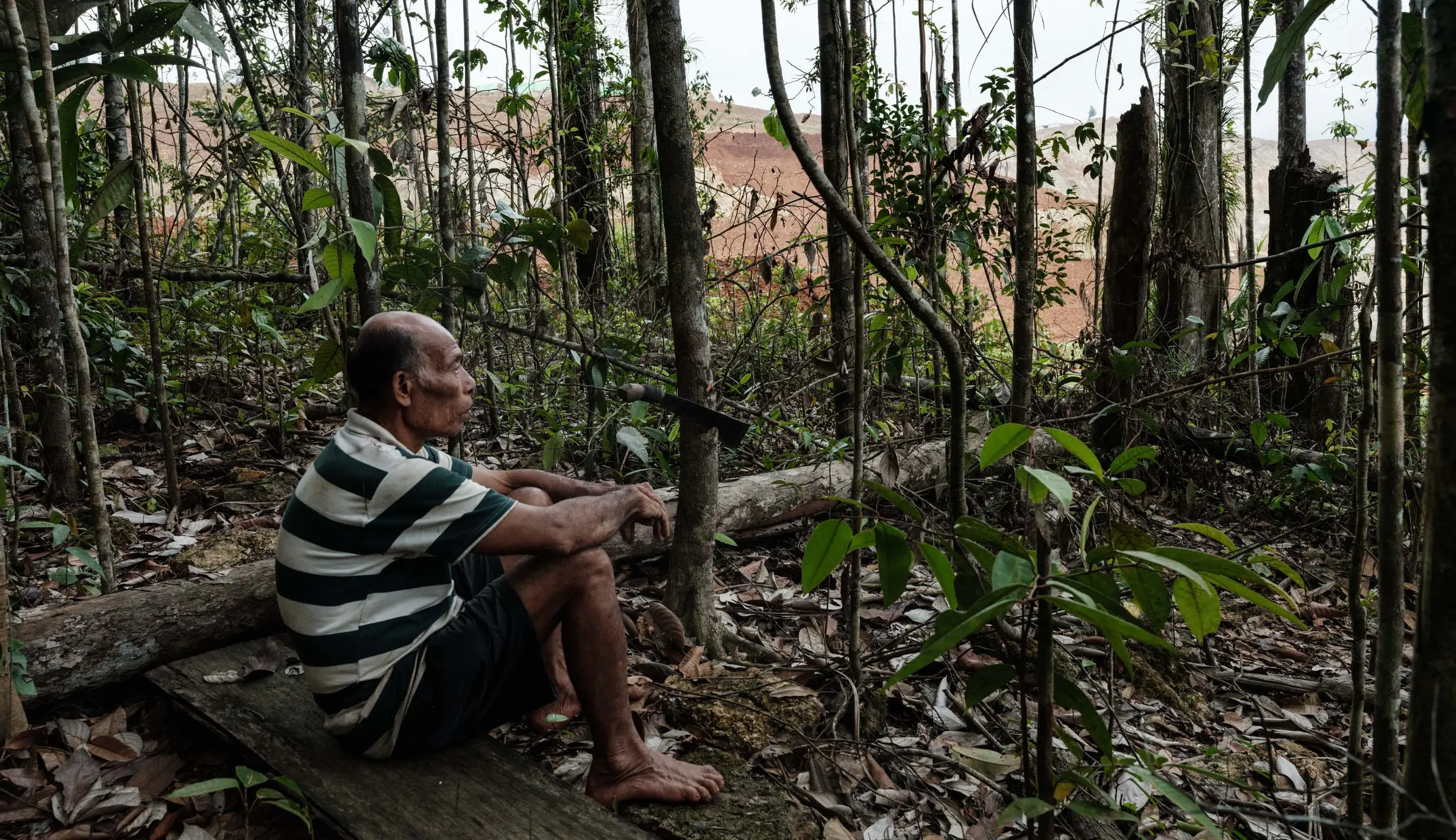 Eksploitasi Nikel Ancam Belantara Kehidupan Suku Pedalaman Halmahera ...