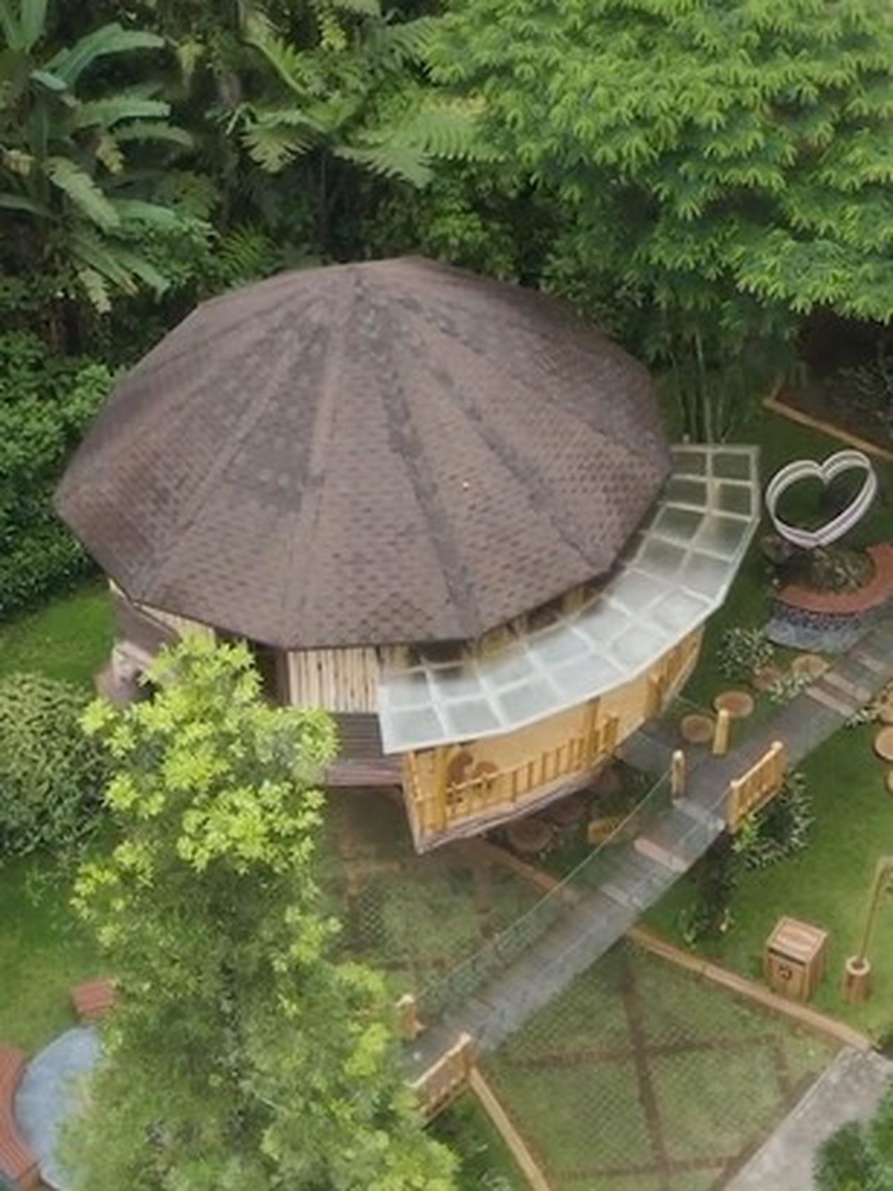 12 Wisata Rumah Pohon yang Populer di Indonesia, dari Jawa hingga Bali