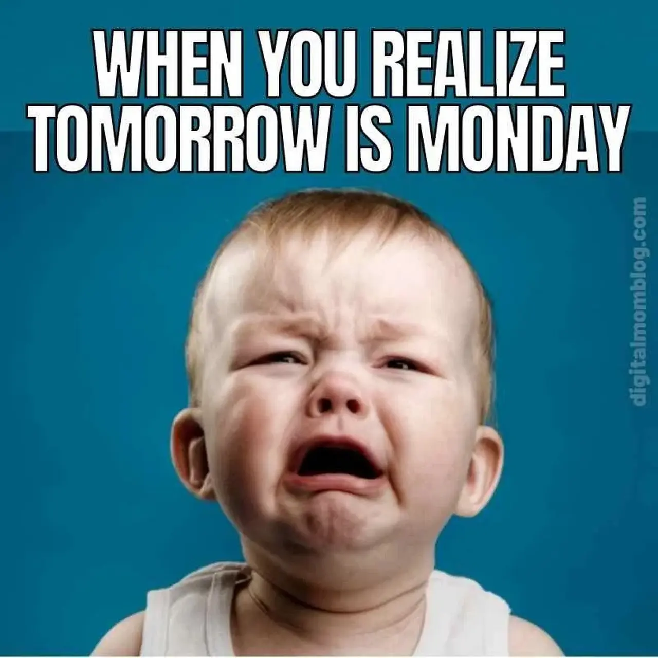 6 Meme Hari Minggu Ini Bikin Ketawa Kecut, Besok Udah Hari Senin - Hot ...