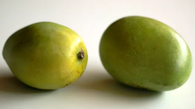 7 Jenis Mangga Paling Enak di Indonesia, Rasa Manisnya Manjakan Lidah ...