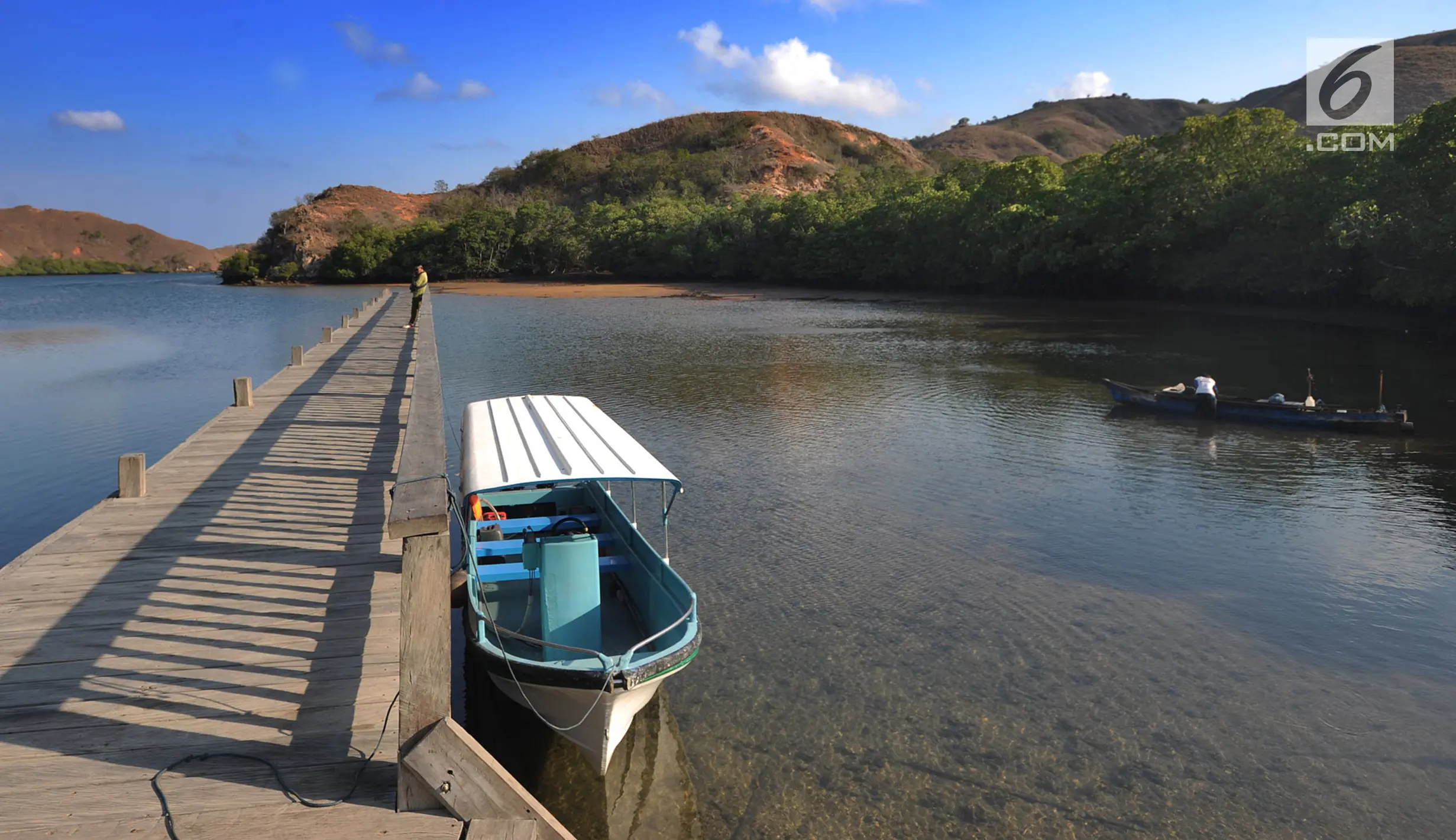 FOTO: Menikmati Eksotisme Pemandangan Alam Pulau Rinca - Foto Liputan6.com
