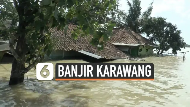 Berita Banjir Karawang Hari Ini - Kabar Terbaru Terkini | Liputan6.com
