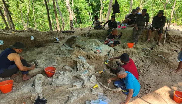 Mengenal Restoran Bakso Haji Sony, Kuliner Legendaris dan Hits di ...