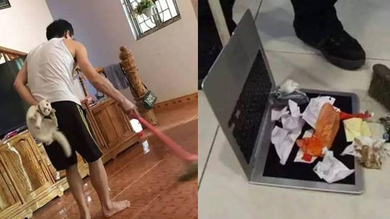7 Momen Nyeleneh Orang Bersih-Bersih Rumah Ini Bikin Geleng Kepala