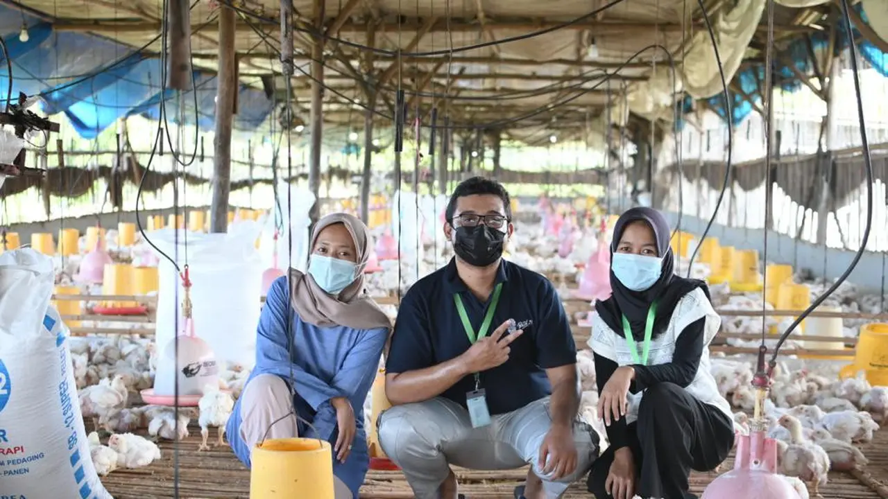 Kementan Buka Lowongan Petani Milenial 2024 Gaji Rp 10 Juta per Bulan, Daftar di Link Ini ...