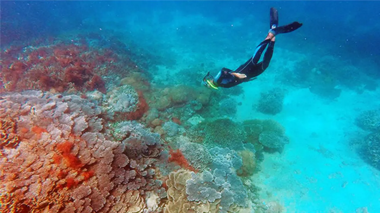 7 Pesona Minahasa dan Keindahan Bawah Laut Teluk Buyat - Citizen6 ...