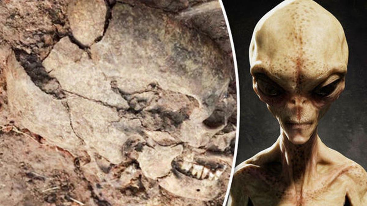 Ditemukan Tengkorak Berbentuk 'Telur', Jasad Alien? - Global Liputan6.com