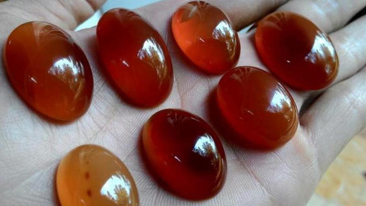 Batu Akik Red Rafllesia Bengkulu Siap untuk Dipatenkan