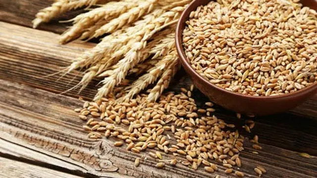 Pengertian Serealia dan Contohnya yang Perlu Dipahami, Makanan Pokok ...