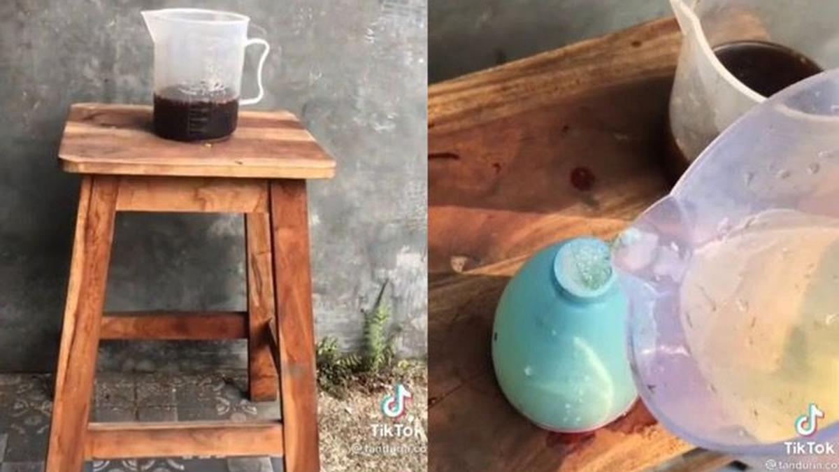 Cara Manfaatkan Bekas Puntung Rokok Jadi Pestisida Alami