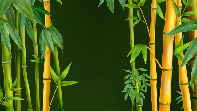 7 Mitos Bambu Kuning yang Menarik untuk Dikulik - Ragam Bola.com