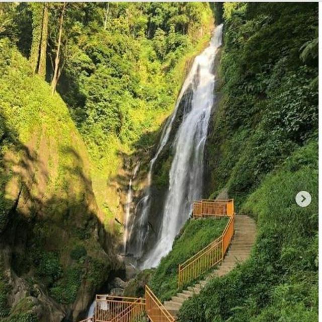 6 Fakta Menarik Padangsidimpuan, Kota Salak yang Bukan Penghasil Salak - Lifestyle Liputan6.com