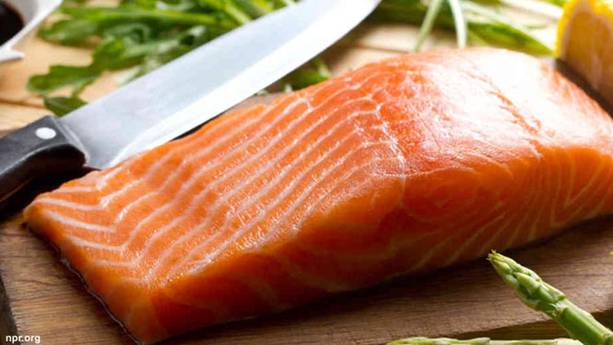 Ini Sebab Ikan Cepat Busuk Meski Disimpan di Kulkas - Citizen6 Liputan6.com