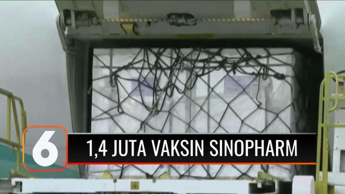 Video 1 4 Juta Vaksin Sinopharm Tiba Siap Digunakan Untuk Vaksinasi