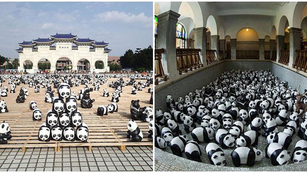Tour 1600 Panda di 10 Kota di Asia ini Punya Alasan Unik Lho...