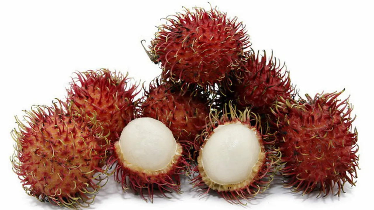 9 Manfaat Biji Rambutan yang Kaya Antioksidan, Ketahui Kandungan ...
