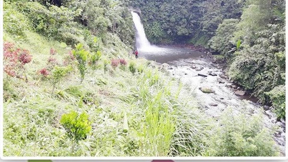 6 Fakta Menarik Kepahiang yang Diyakini Asal Munculnya Sebutan Mabuk ...