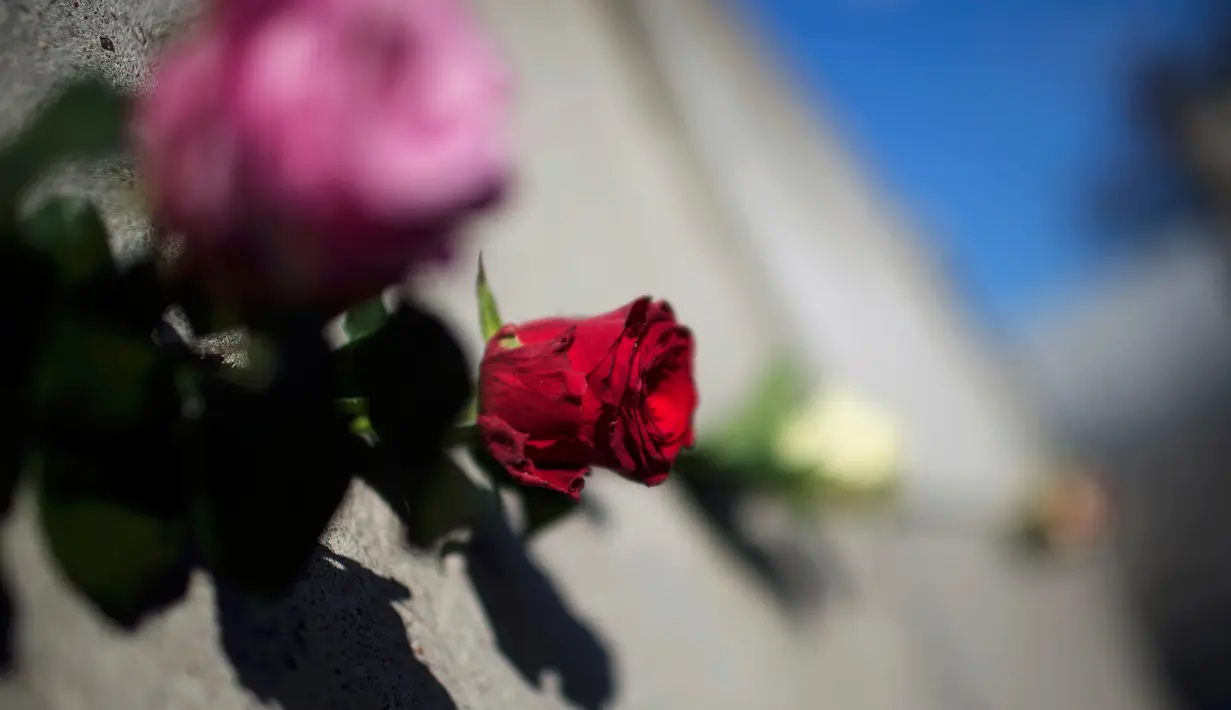 Jerman Mengenang 26 Tahun Runtuhnya Tembok Berlin - Foto Liputan6.com