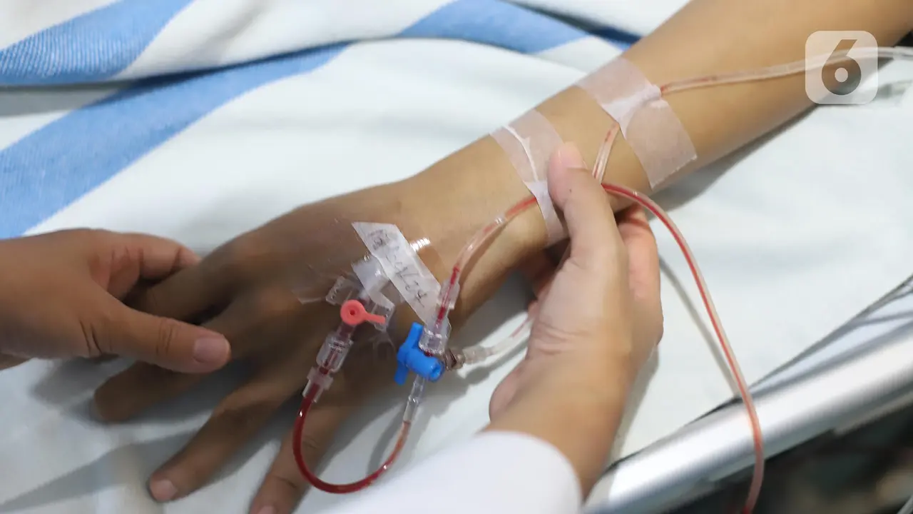 Penyakit DBD Apakah Berbahaya? Ketahui Gejala dan Tanda Perlu Perawatan ...