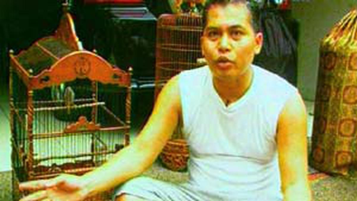 Denny Chandra Tidak Takut Flu Burung - ShowBiz Liputan6.com