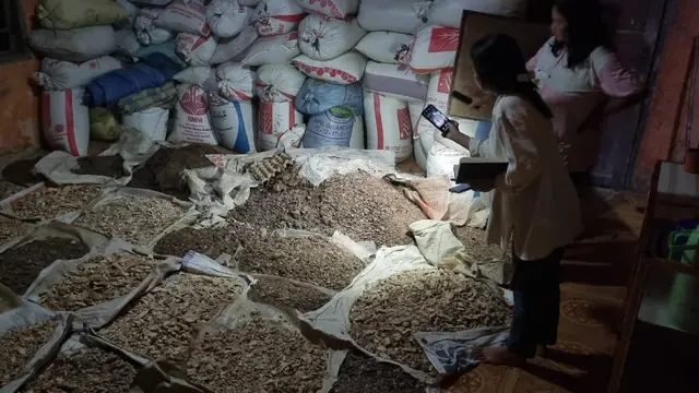 Manfaat Kemenyan dan Mitos di Baliknya, dari Perdagangan Global hingga ...